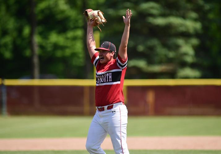 TITLE TOWN: Letchworth's Halsey ends baseball career with sectional ...
