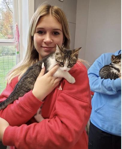BOCES students volunteer at SPCA shelter | Lifestyles ...