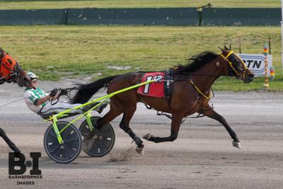 Whats The Point makes her point at Buffalo Raceway | Sports ...