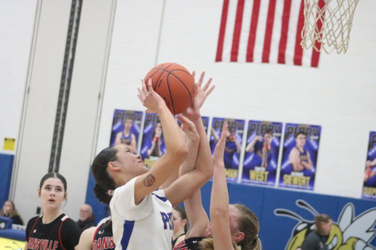 H.S. GIRLS BASKETBALL: Hamsher leads Dansville to road win over Perry ...