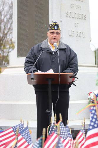 Le Roy flags honor Vietnam veterans | News | thedailynewsonline.com