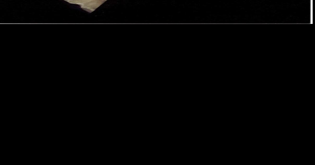 History with the HLOM: Happy birthday, Joseph Ellicott | Lifestyles ...