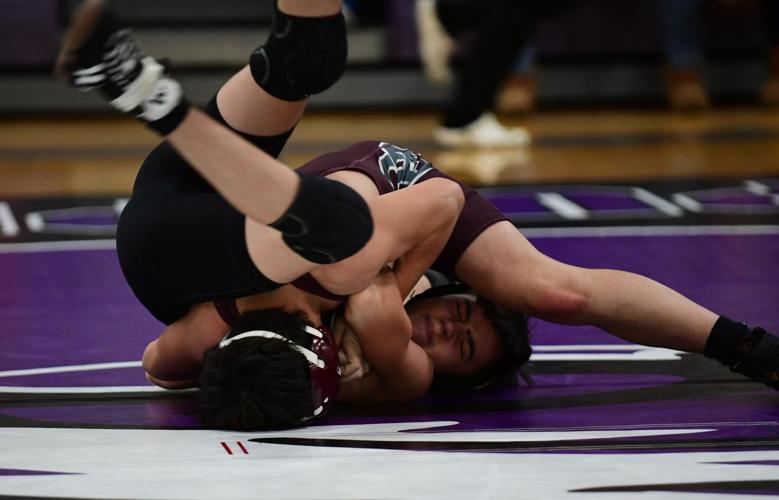 WRESTLING: Byron-Bergen ousts Albion; Several Bees earn wins by pin ...
