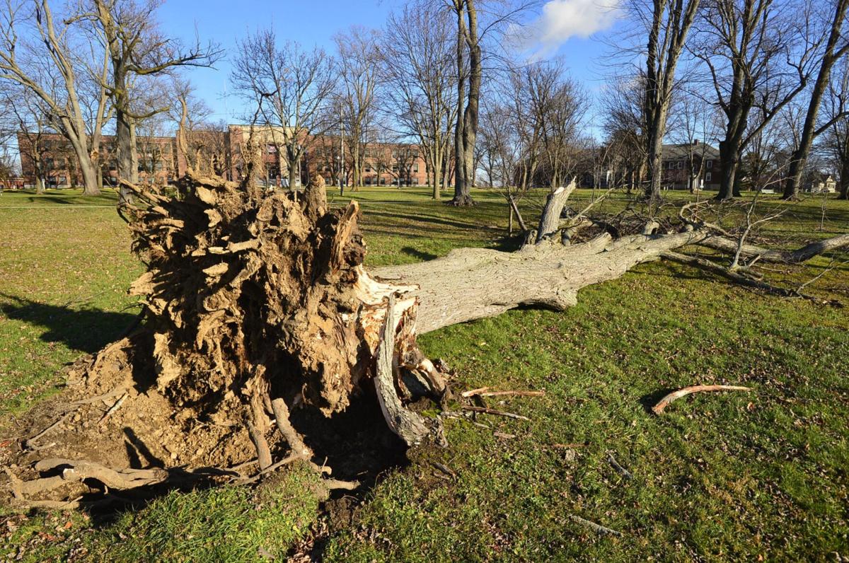 City Yard Waste Station to stay open until Saturday; DPW picking up ...