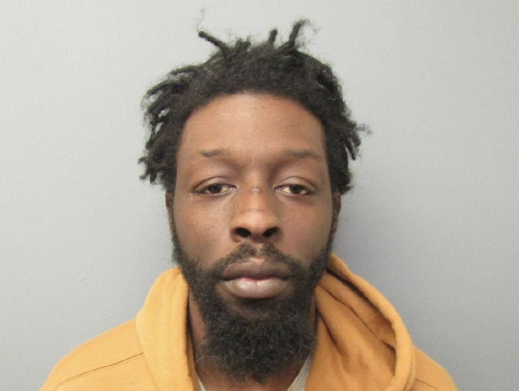 Parolee charged with felony for July chase with police | Top Story ...