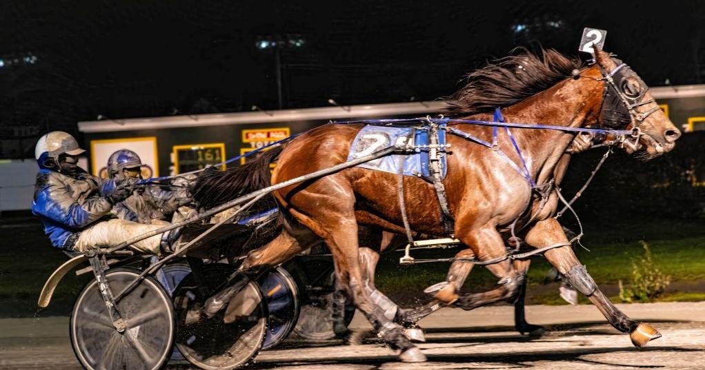 HARNESS RACING: Ricky B Sharp cuts through the mud at Batavia Downs ...