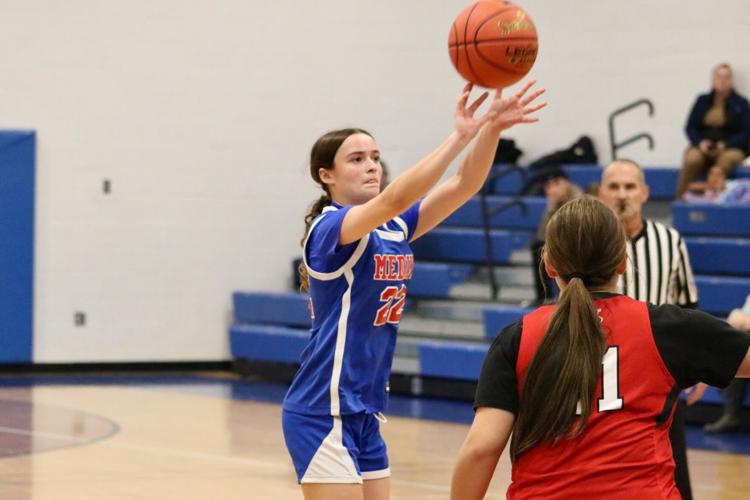 H.S. GIRLS BASKETBALL: St. Louis, Medina race past Holley in Kendall ...