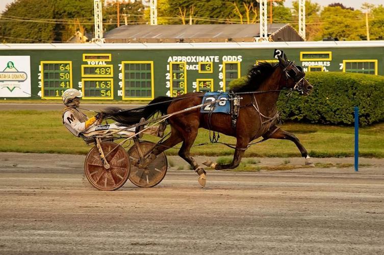 OPENING NIGHT: New York Sire Stake frosh fillies on hand for Batavia ...