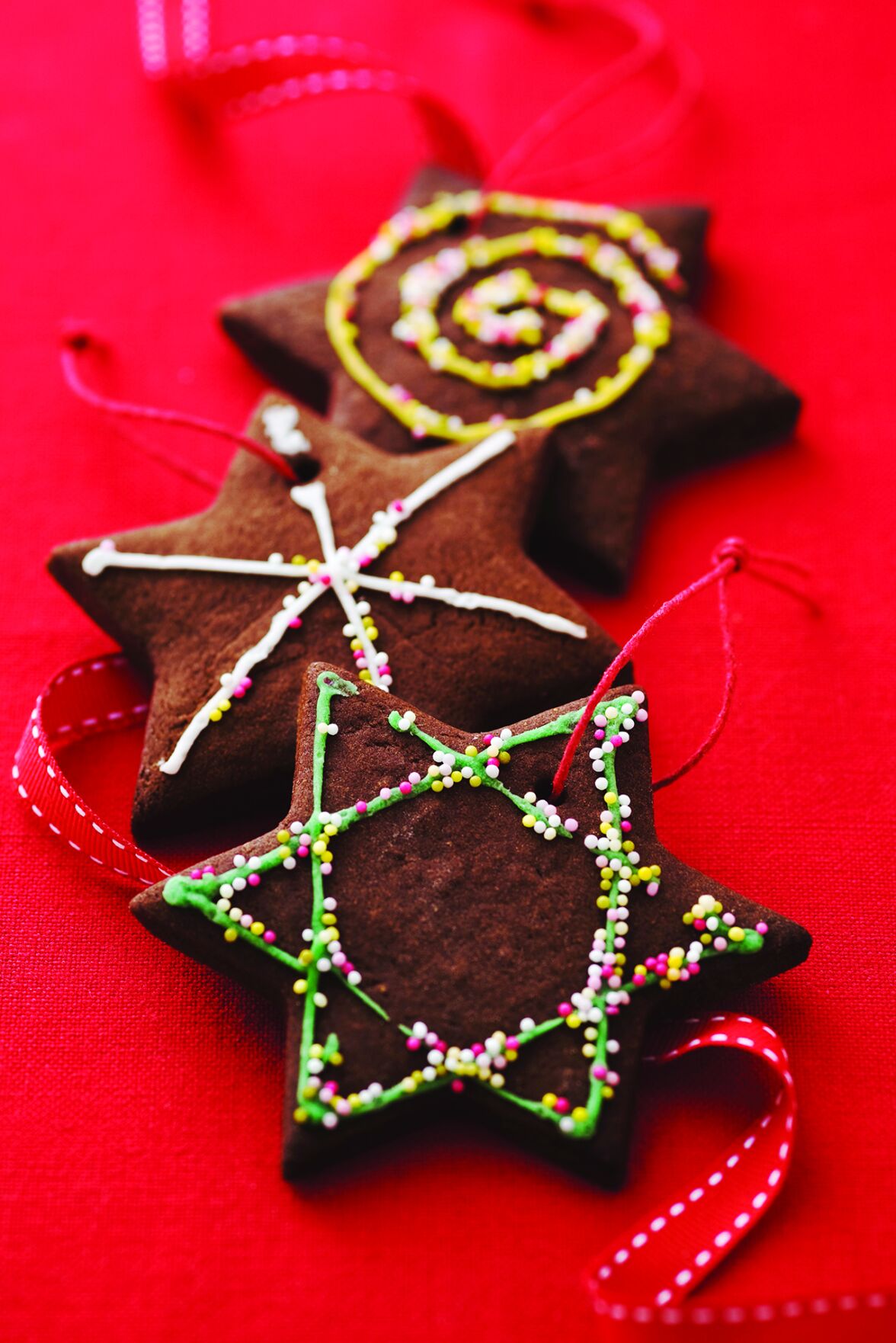 Decorative cookies Santa can't resist | Lifestyles | thedailynewsonline.com