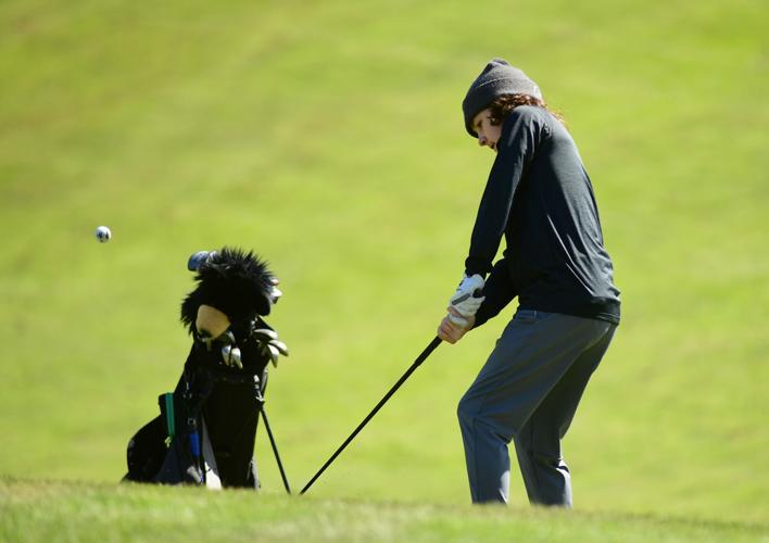 H.S. GOLF: Coyle, Bagley share medalist honors as Livonia downs Batavia ...