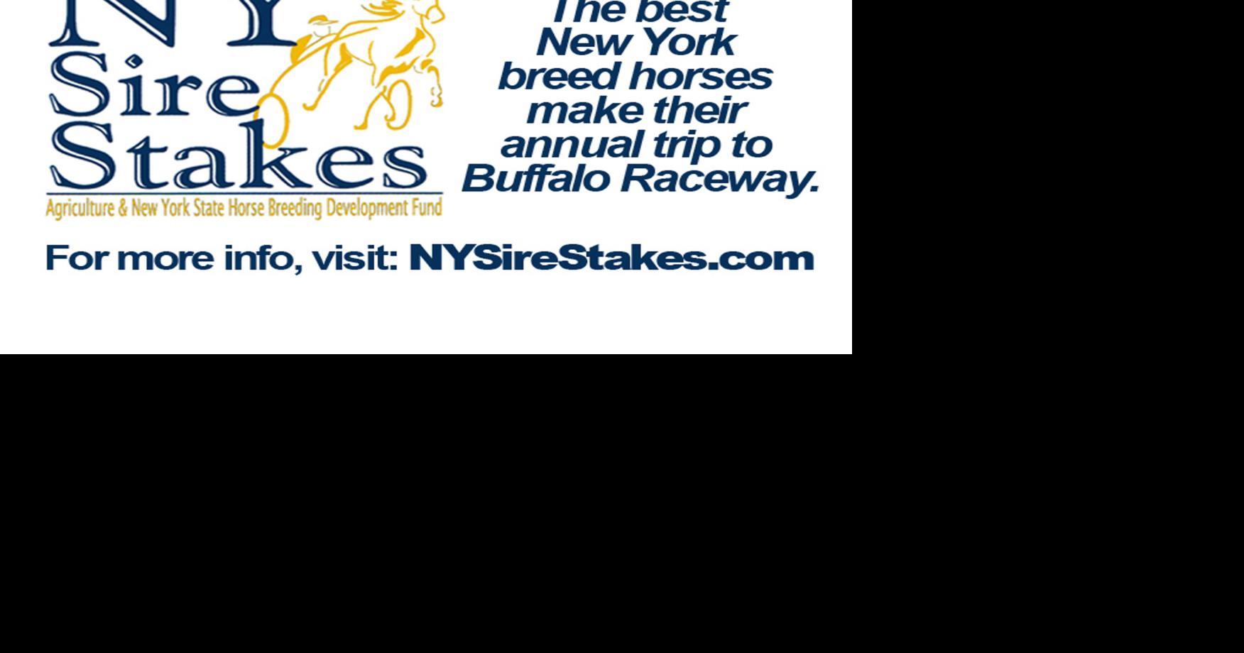 HORSE RACING: Boston Rocks heads field in NYSS at Buffalo | Sports ...