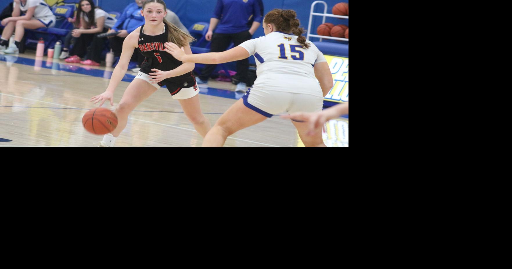 H.S. GIRLS BASKETBALL: Hamsher leads Dansville to road win over Perry ...