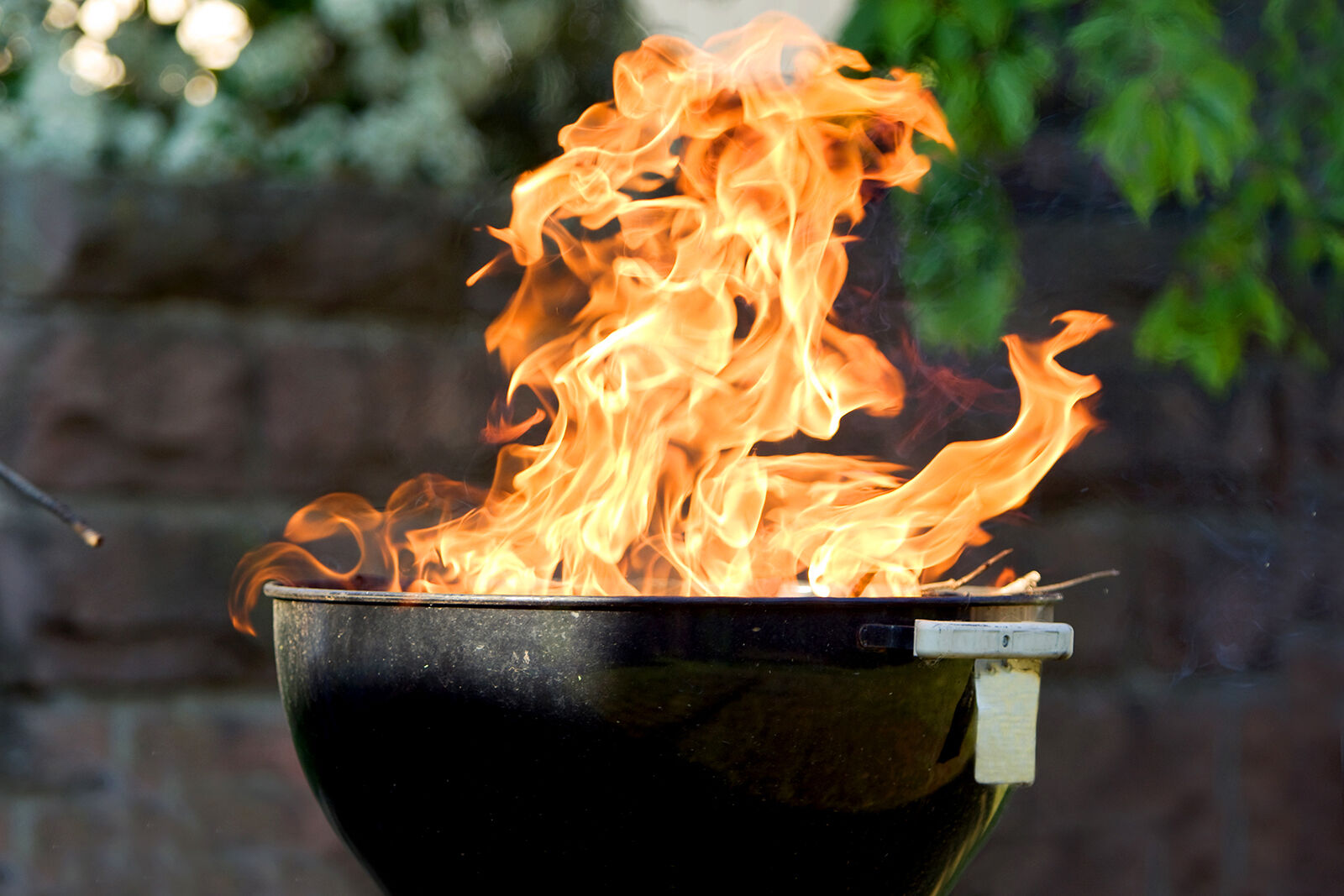 Column: Maybe temperatures really do matter | Lifestyles ...