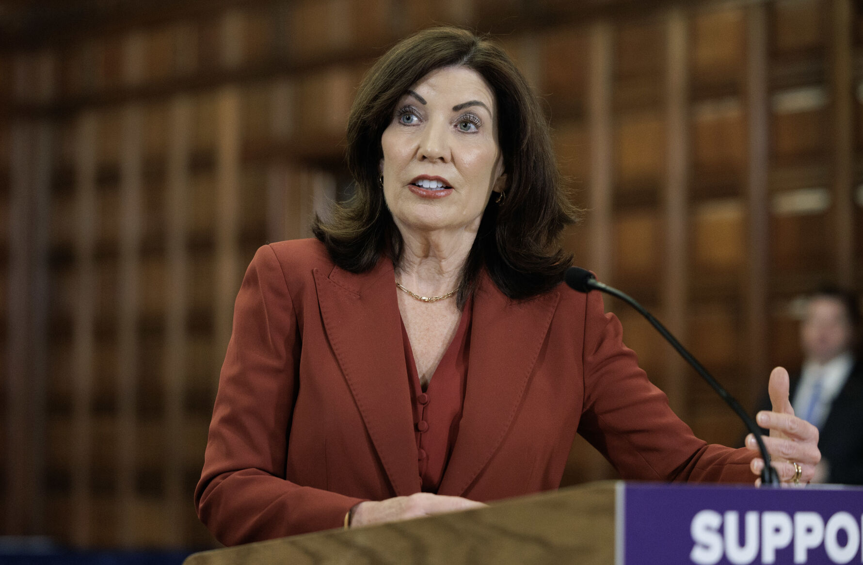 Hochul was named a leader in climate action. Here's what ...