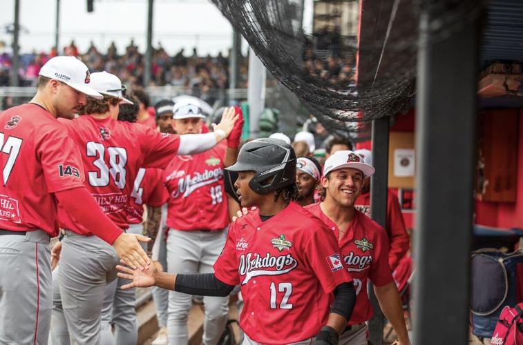 Muckdogs hold off Americans for second consecutive win | Sports ...