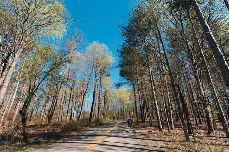 A century in the forest | News | thedailynewsonline.com