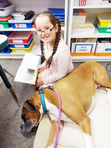 Editorial — An academic boost: Therapy dogs benefit students and staff ...
