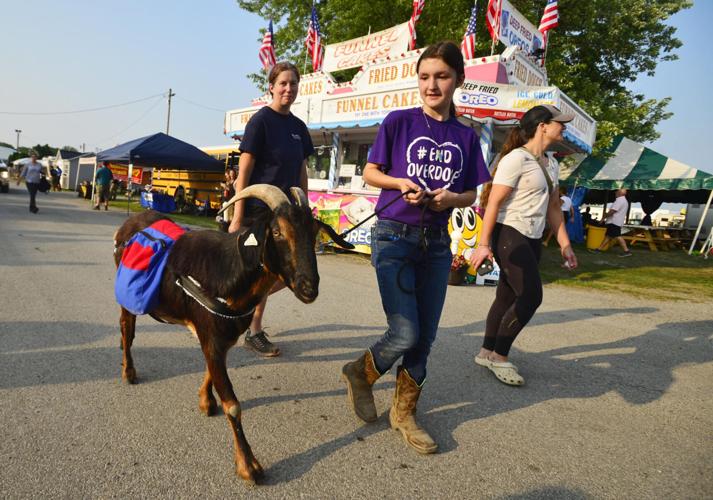 Fun on the march: Crowds turn out for Genesee County Fair parade | Top ...