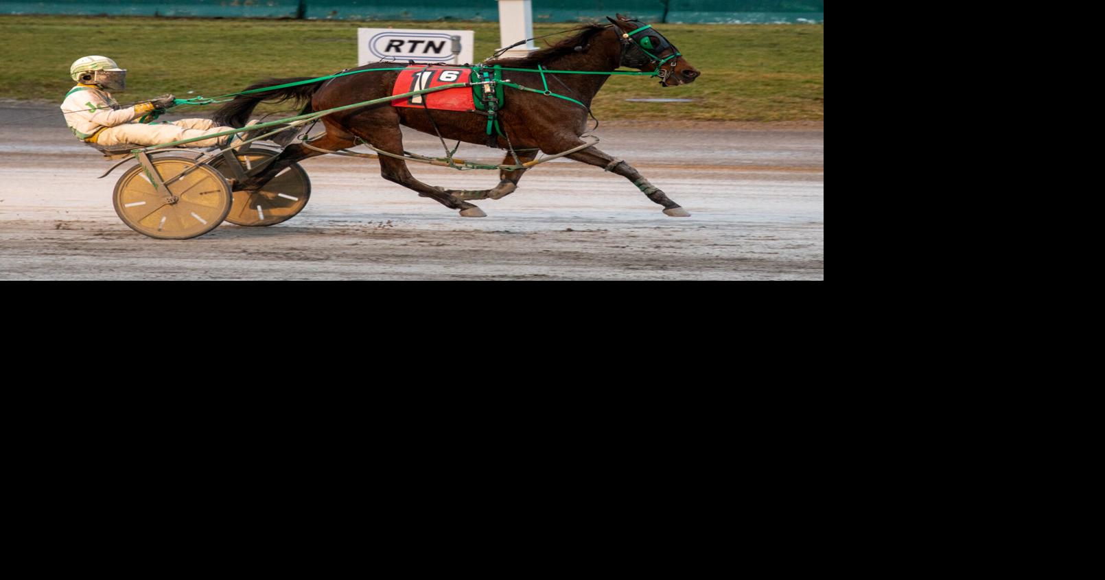 HARNESS RACING: Shooting Brooke guns down field at Buffalo Raceway ...