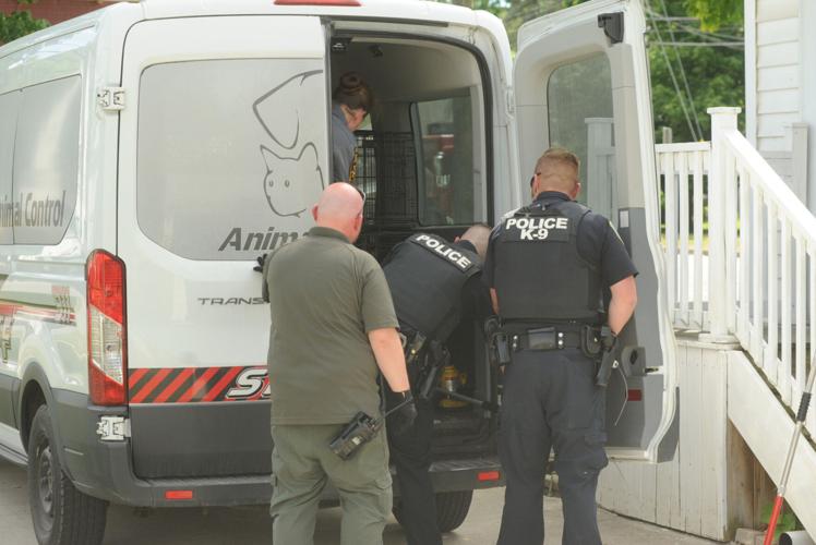 WATCH: 2 taken to hospitals with ‘serious injuries’ following dog ...