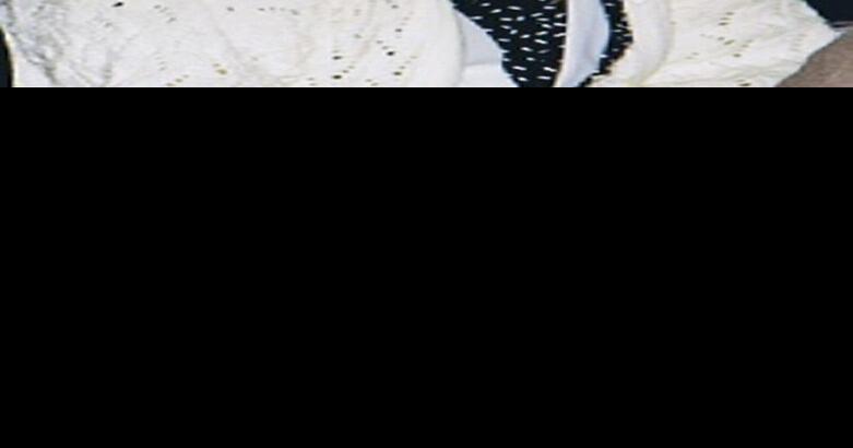 Mary A. Colombo | Obituaries | thedailynewsonline.com