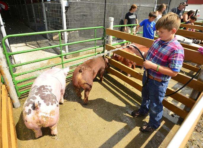 Making plans: GLOW region fairs aim to return, await state guidance ...