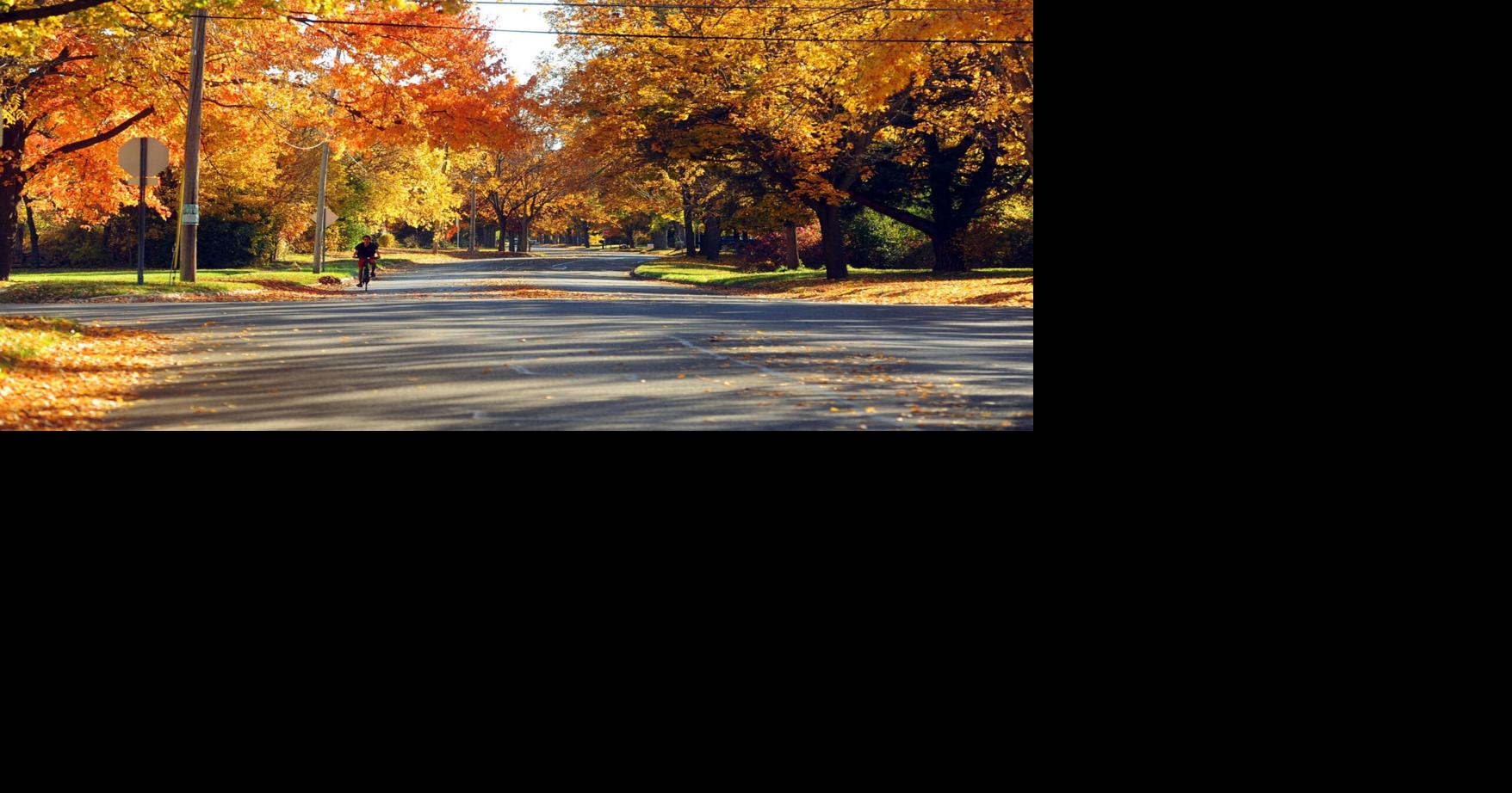 Fall colors fading: Foliage hitting past-peak conditions across region ...