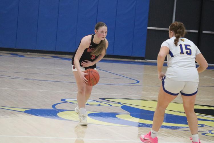 H.S. GIRLS BASKETBALL: Hamsher leads Dansville to road win over Perry ...