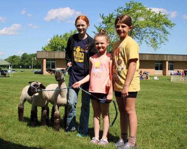 Byron-Bergen students celebrate Farm Day | News | thedailynewsonline.com