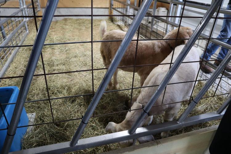 Agricultural vision: New barn helps expand opportunities at Letchworth ...