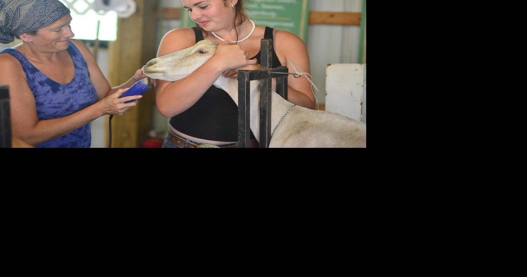 PHOTOS: Summer days at the Orleans County Fair | News ...