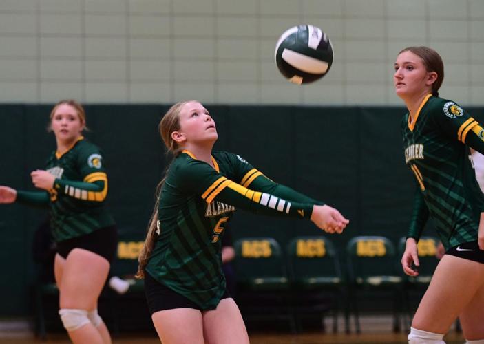H.S. GIRLS VOLLEYBALL: Team effort by Alexander leads to big victory ...