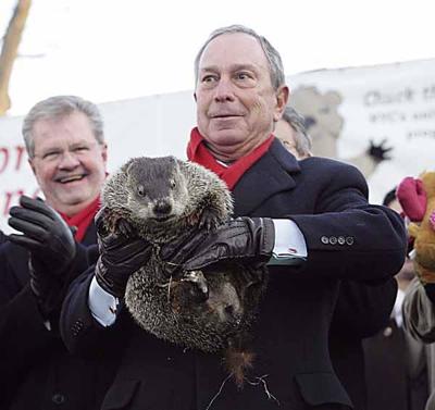 groundhog bites bloomberg