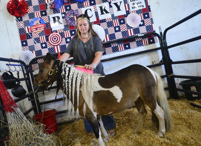 Orleans County Fair enters fifth day with animals, entertainment and ...