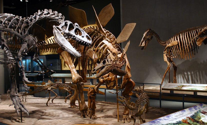 Colorado’s 10 best dinosaur destinations, from museums to track sites ...