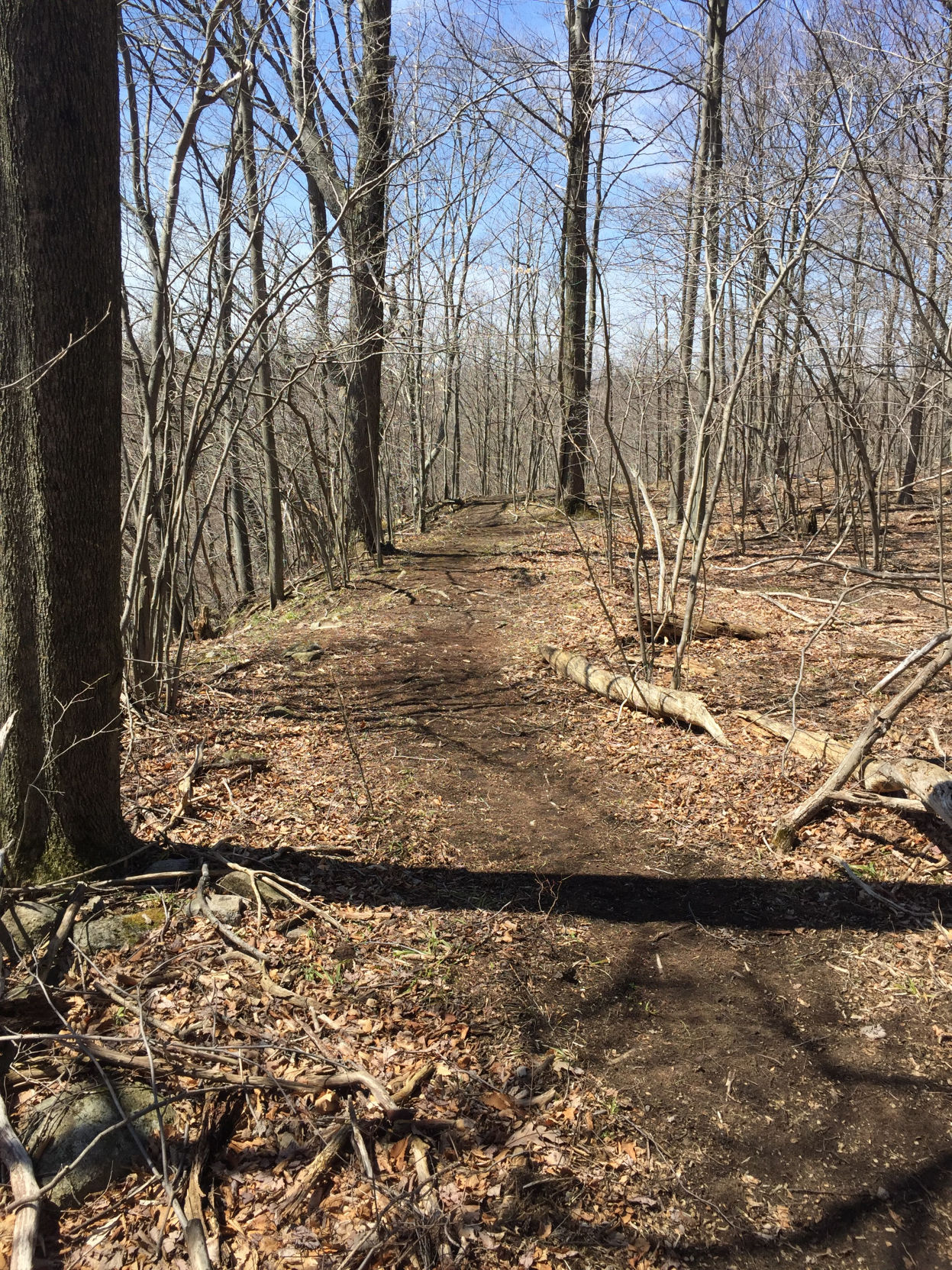 Mountain bike trail coming to Darien Lakes State Park | News ...