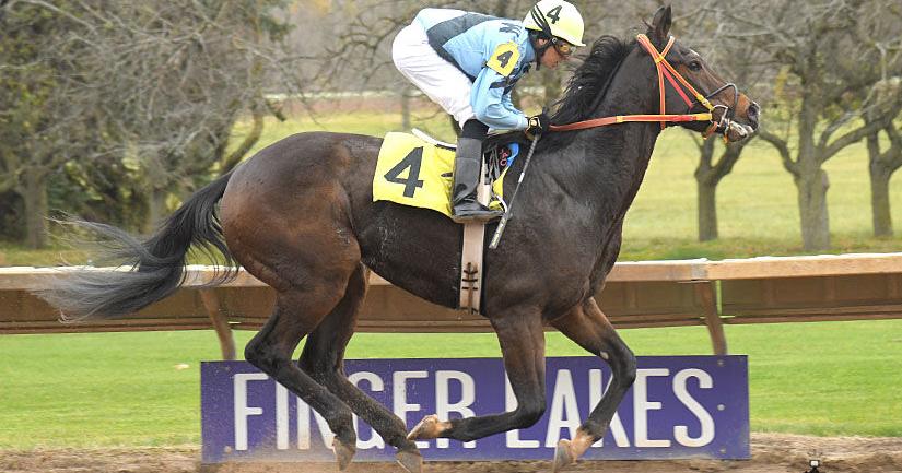 HORSE RACING: Top sprinters compete in Memorial Day feature | Sports ...