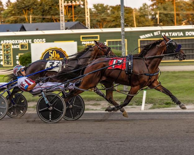 Alexander entries overpower peers in NYSS at Batavia | Sports ...