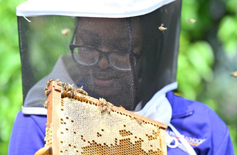 'You're a beekeeper': Students conquer their fears in this scary but ...