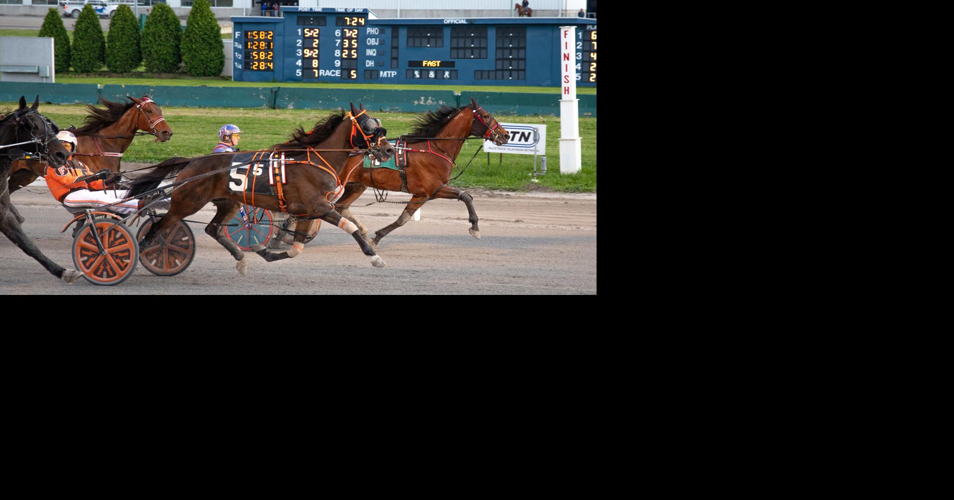HARNESS RACING: Lougazi back to his old tricks at Buffalo Raceway ...