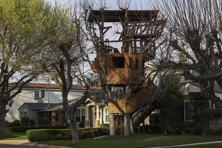 'Simpsons' producer's epic tree house may get the ax after 'absurd ...