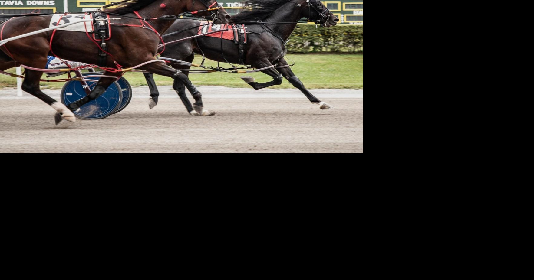 HARNESS RACING: Seven Hundred, JD win NYSS splits at Batavia Downs ...