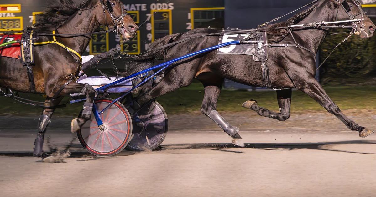 Open winners go fast miles at Batavia Saturday | Sports ...