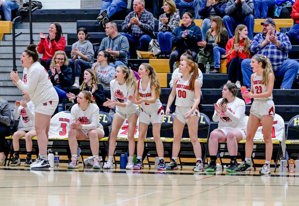 SEC V. GIRLS BASKETBALL: Dansville pulls away from Wellsville to ...