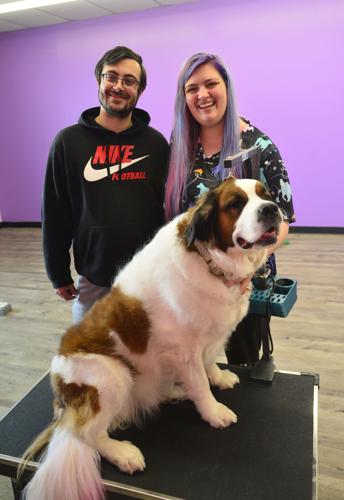 Roo's Paw Spa opens in Le Roy | Cosmetics | thedailynewsonline.com