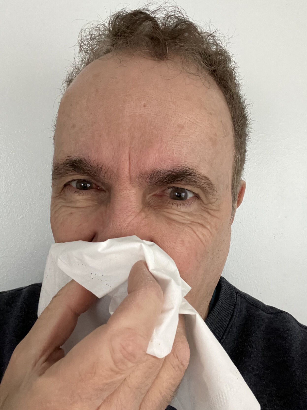 Jerry Zezima: Something to sneeze at | Lifestyles | thedailynewsonline.com