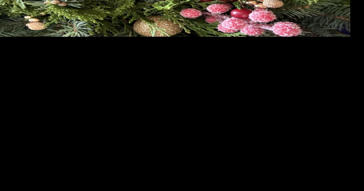 Zezima: The 2025 Zezima family Christmas letter | Lifestyles ...