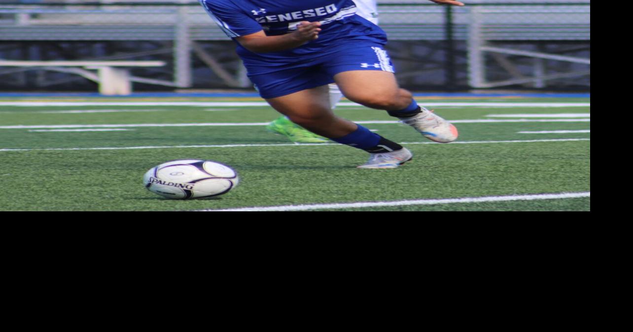 H.S. BOYS SOCCER: Ray leads Geneseo to win, LCAA D3 title | Sports ...