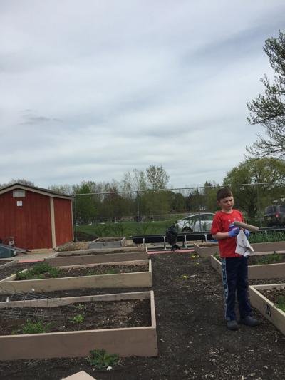 Community Garden readies for planting | News | thedailynewsonline.com