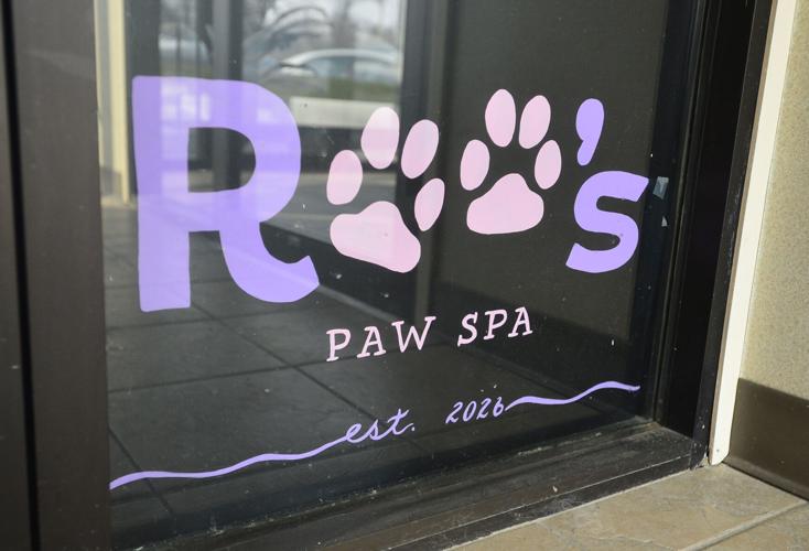 Roo's Paw Spa opens in Le Roy | Cosmetics | thedailynewsonline.com